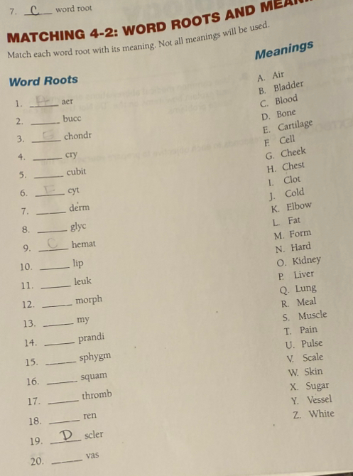 MATCHING 4-2 WORD ROOTS Match Each Word Root with Its Meaning. Not All ...