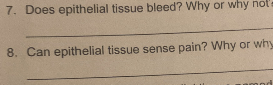 7. Does Epithelia Tissue Bleed? Why or Why Not? __ 8. Can Epithelial ...