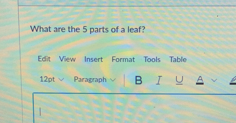 What Are the 5 Parts of a Leaf? Edit View Insert Format Tools Table ...