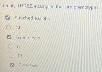 Identify THREE Examples That Are Phenotypes. Attached Earlobe Ch Green ...