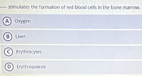 __ Stimulates the Formation of Red Blood Cells in the Bone Marrow. A ...