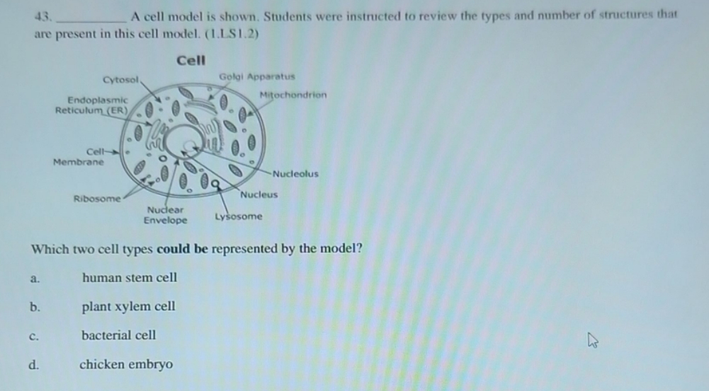 43. __ A Cell Model Is Shown. Students Were Instructed to Review the ...