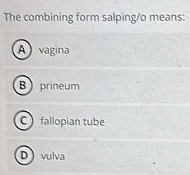 The Combining Form Salping/o Means: A Vagina B Prineum C Fallopian Tube ...