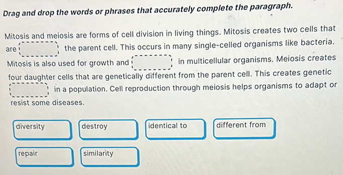 Drag Drop the Words or Phrases That Accurately Complete the Paragraph ...