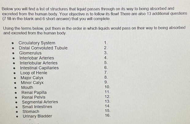 Below You Will Find List of Structures That Liquid Passes Through on ...