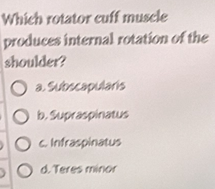 Which Rotator Cuff Muscle Produces Internal Rotation of the Shoulder? a ...