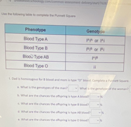 Use the Following Table to Complete the Punnett Square Phenotype ...