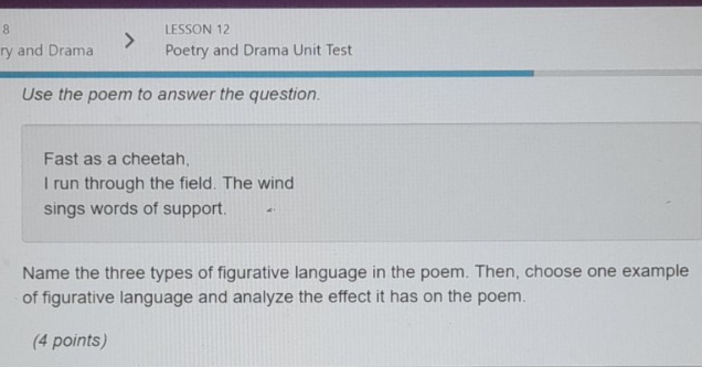 Use the Poem to Answer the Question. Fast as a Cheetah I Run Through ...