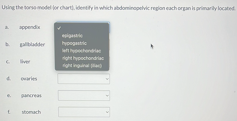 Using the Torso Model (or Chart), Identify in Which Abdominopelvic ...