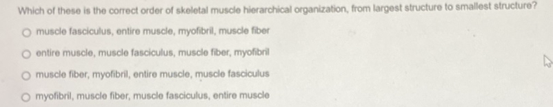 Which These the Correct Order Skeletal Muscle Hierarchical Organization ...