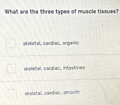 What Are the Three Types of Muscle Tissues? Square Skeletal, Cardiac ...