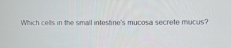 Which Cells in the Small Intestine's Mucosa Secrete Mucus? | Questionai.APP