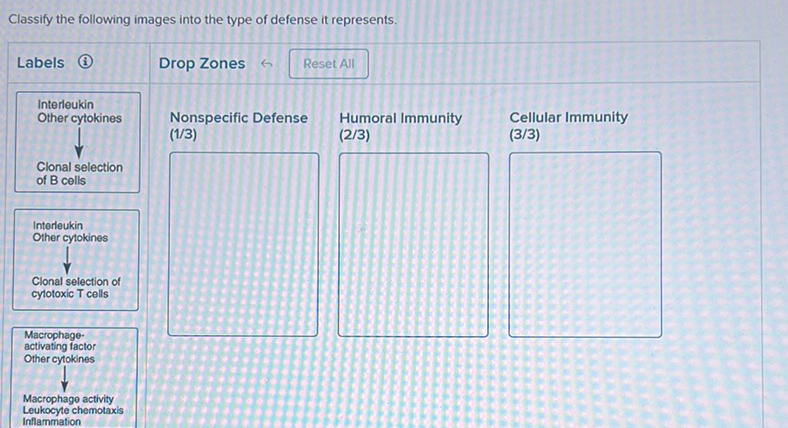 Classify the Following Images the Type of Defense Represents ...