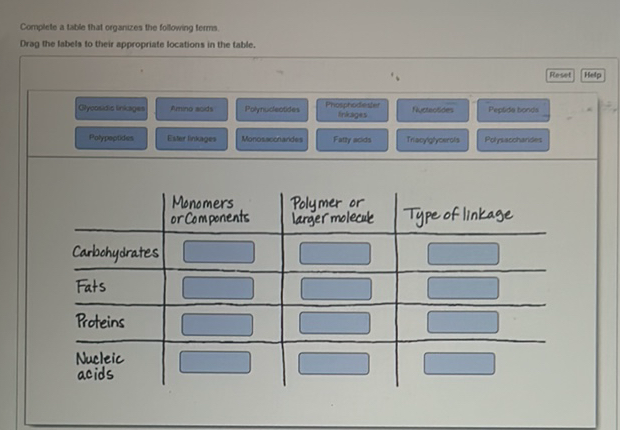 Complete a Table That Organizes the Following Terms Drag the Labels to ...