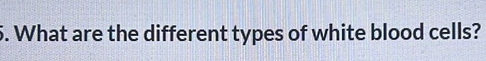 . What Are the Different Types of White Blood Cells? | Questionai.APP