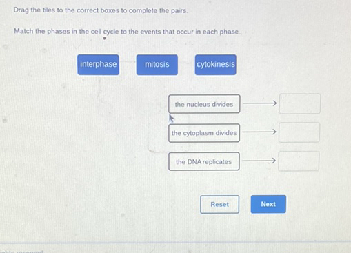 Drag the Tiles to the Correct Boxes to Complete the Pairs. Match the Phases the Cell Cycle to ...