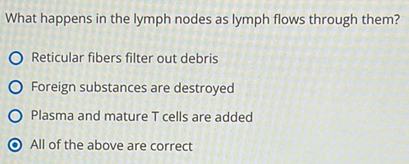 Happens Lymph Nodes Lymph Flows Them? Reticular Fibers Filter Debris ...