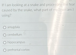 If I Looking at Snake Processing the Fear Caused by the Snake, What ...