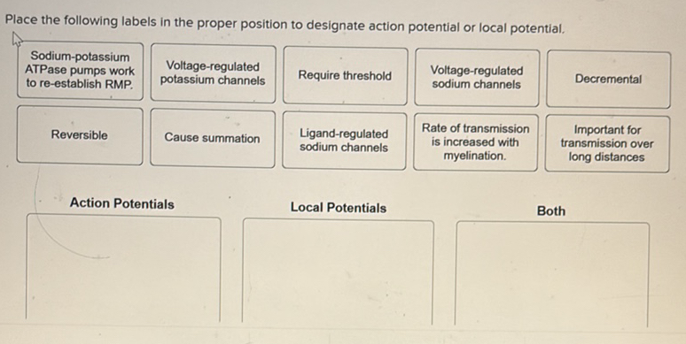 Place the Following Labels in the Proper Position to Designate Action ...
