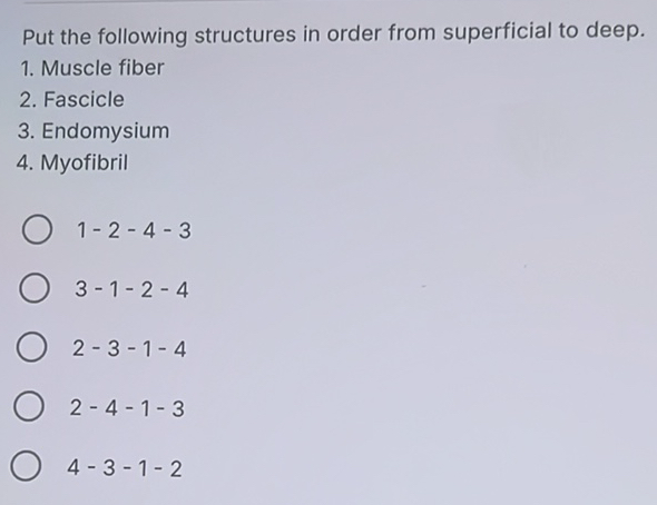 Put the Following Structures in Order from Superficial to Deep. 1 ...