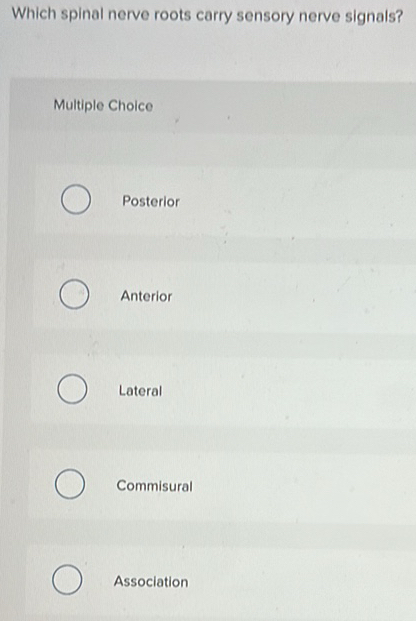 Which Spinal Nerve Roots Carry Sensory Nerve Signals? Multiple Choice Posterior Anterior Lateral ...