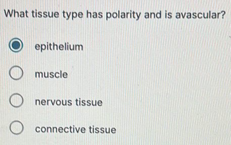 What Tissue Type Has Polarity and Is Avascular? Epithelium Muscle ...