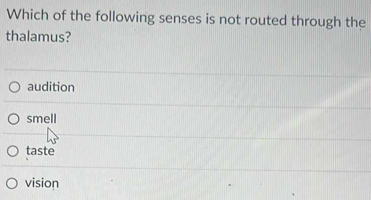 Which of the Following Senses Is Not Routed Through the Thalamus ...