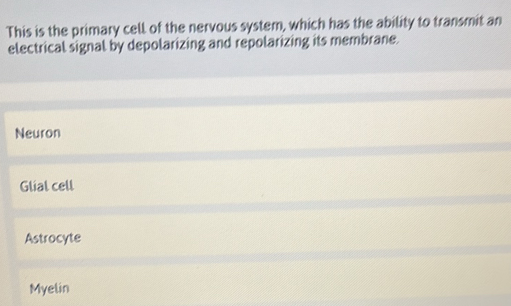 This Is the Primary Cell of the Nervous System, Which Has the Ability ...