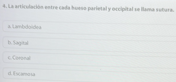 4. La Articulación Entre Cada Hueso Parietaly Occipital Sellama Sutura ...