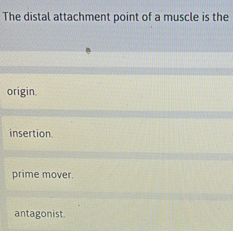 The Distal Attachment Point of a Muscle Is the Origin. Insertion. Prime ...