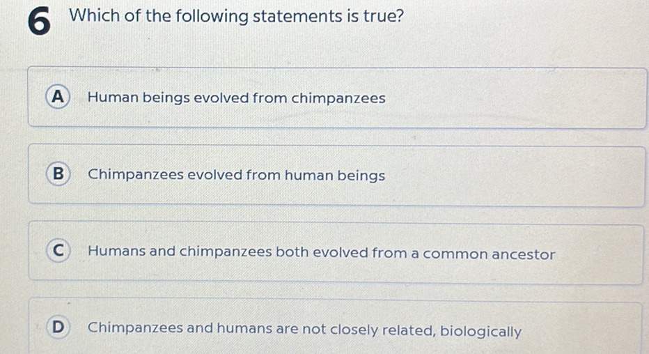 Which of the Following Statements Is True? A ) Human Beings Evolved ...