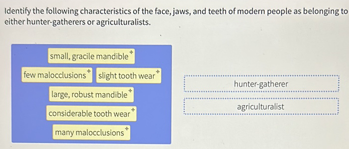 Identify the Following Characteristics of the Face, Jaws , and Teeth of ...