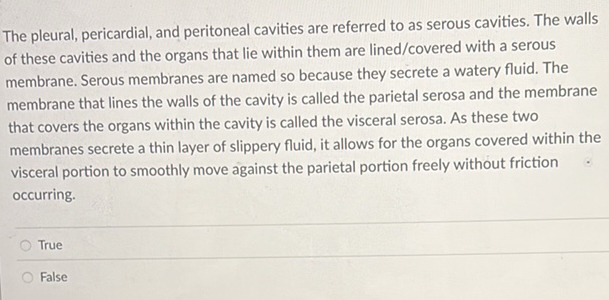 The Pleural, Pericardial, and Peritoneal Cavities Are Referred to as ...