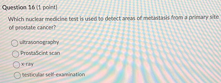 Question 16 (1 Point) Which Nuclear Medicine Test Is Used to Detect ...