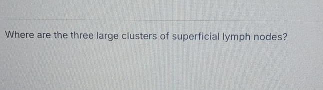Where Are the Three Large Clusters of Superficial Lymph Nodes ...