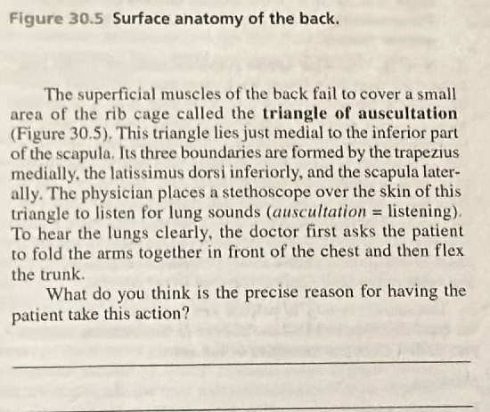 Figure 30.5 Surface Anatomy of the Back. The Superficial Muscles of the ...