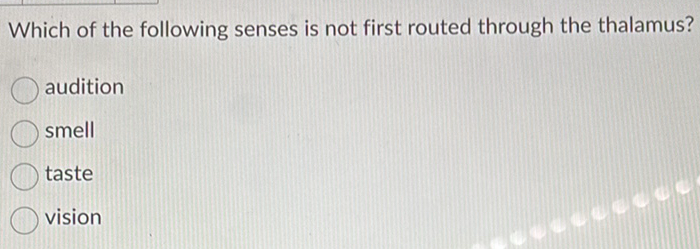 Which of the Following Senses Is Not First Routed Through the Thalamus ...