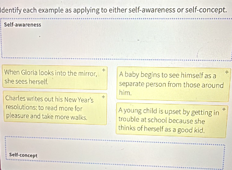 Identify Each Example as Applying to Either Self-awareness or Self ...