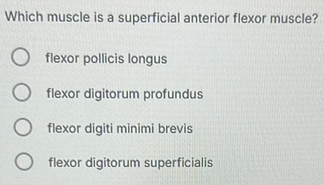 Which Muscle Is a Superficial Anterior Flexor Muscle? Flexor Pollicis ...