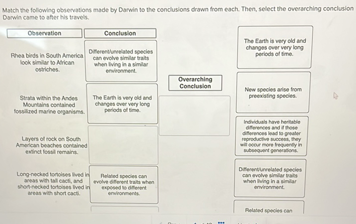 Match the Following Observations Made by Darwin to the Conclusions ...