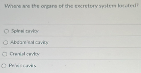 Where Are the Organs of the Excretory System Located? Spinal Cavity ...