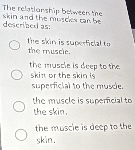 The Relationship Between the Skin and the Muscles Can Be Described As ...