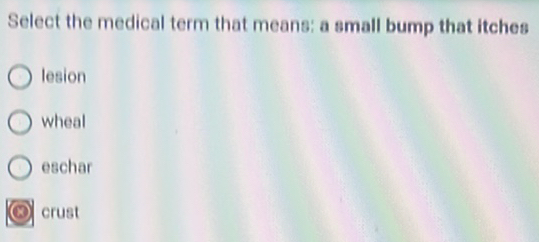 Select the Medical Term That Means: Small Bump That Itches Lesion Wheal ...