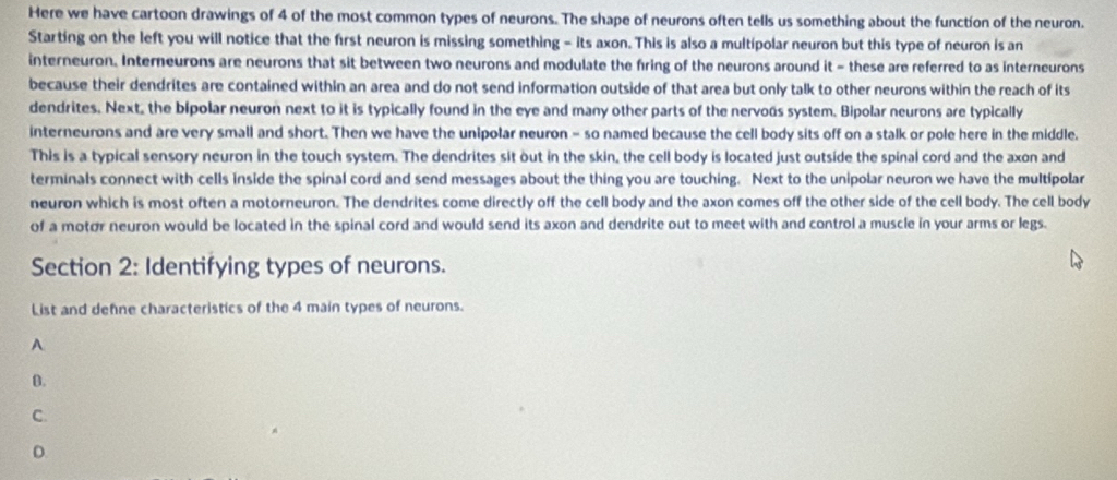 Here We Have Cartoon Drawings of 4 of the Most Common Types of Neurons ...