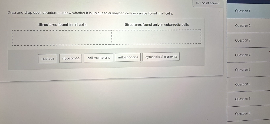 Drag and Drop Each Structure to Show Whether It Is Unique to Eukaryotic ...