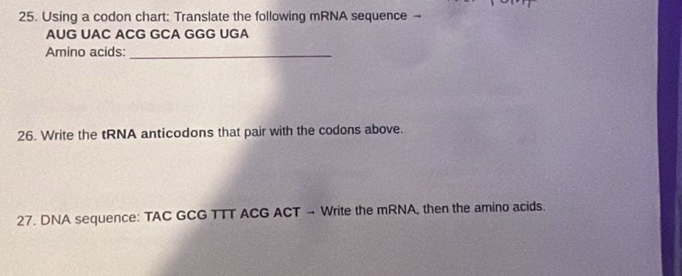 25. Using a Codon Chart: Translate the Following MRNA Sequence AUG UAC ...