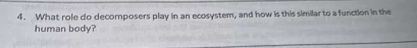4. What Role Do Decomposers Play in an Ecosystem, and How Is This ...