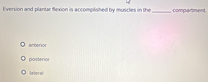 Eversion and Plantar Flexion Is Accomplished by Muscles in the ...