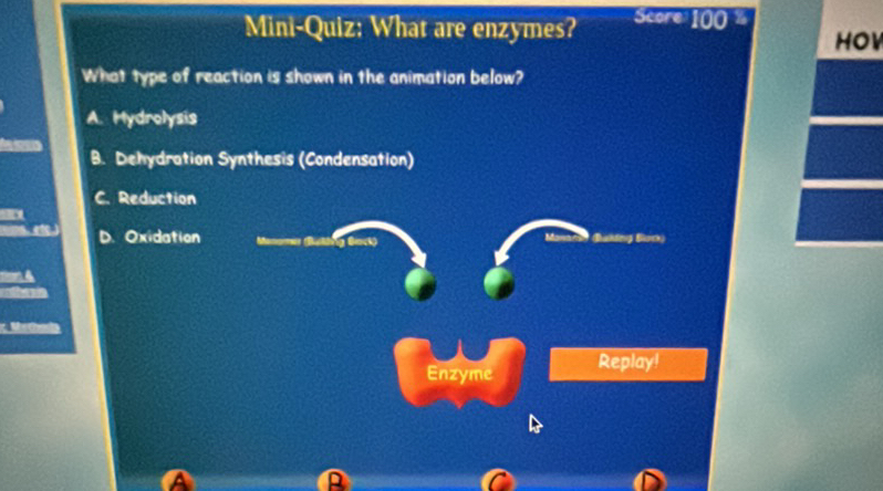 Mini-Quiz: What Are Enzymes? What Type of Reaction Is Shown in the ...