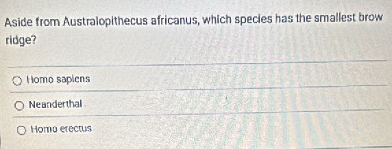 Aside from Australopithecus Africanus, Which Species Has the Smallest ...